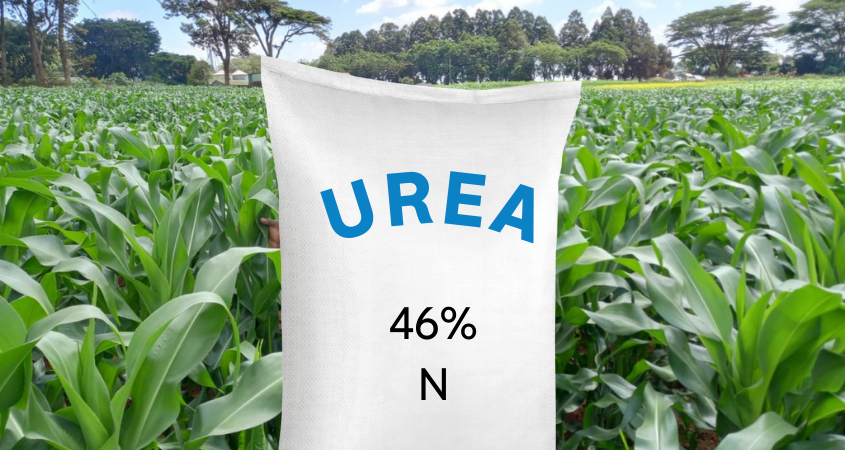 Urea Export: Global Demand, Challenges, and Opportunities - Petro Base